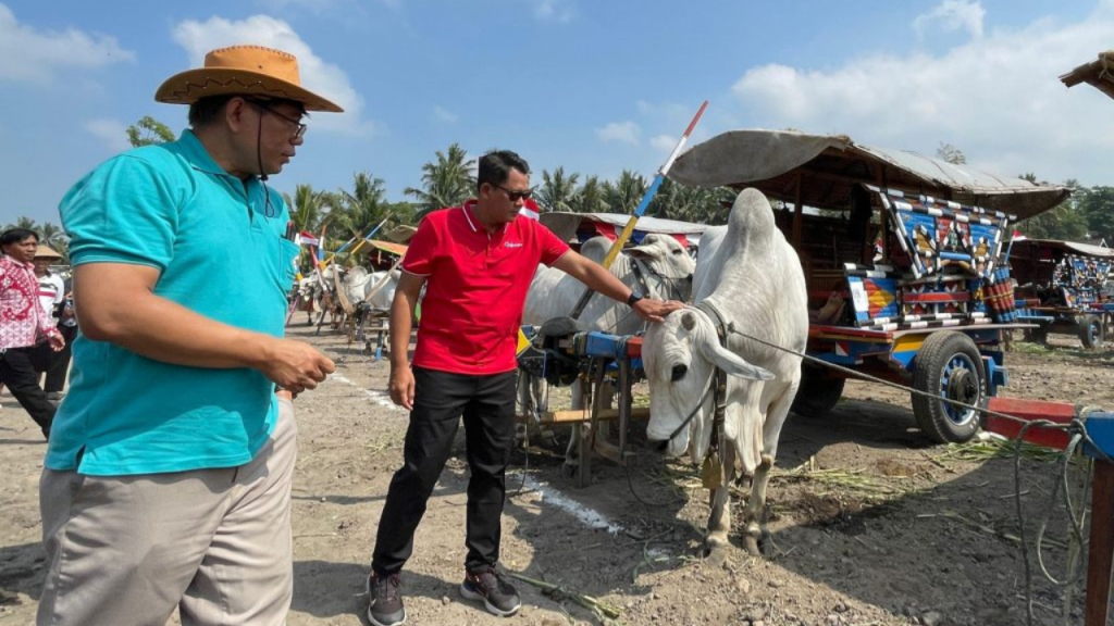 Festival Gerobak Sapi Pangrekso Andhini Karyo, Wabup Sleman Mendukung ...